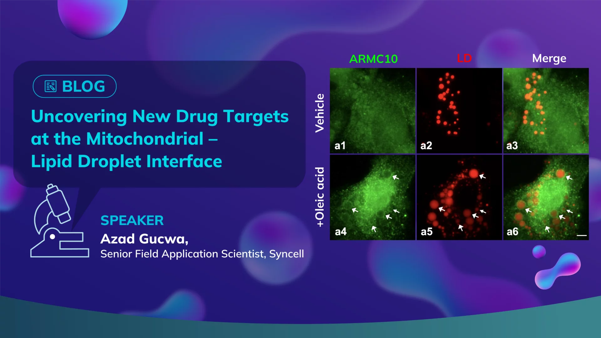 Uncovering New Drug Targets at the Mitochondrial–Lipid Droplet Interface