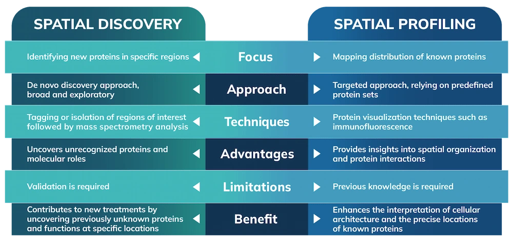 Integrating Spatial Discovery with Spatial Profiling to reveal the ...
