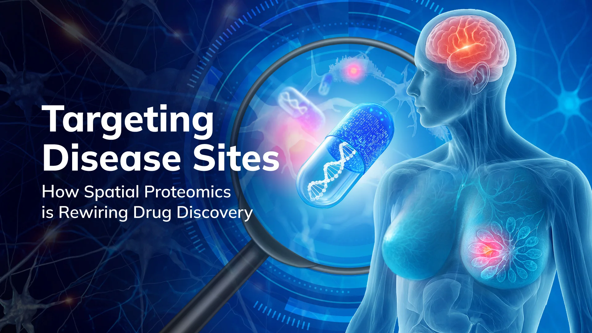 Targeting Disease Sites: How Spatial Proteomics Is Rewiring Drug ...